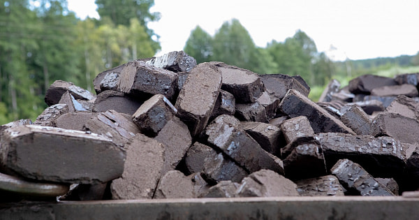 Экспорт торфа из Беларуси вырос в 1,4 раза — OfficeLife